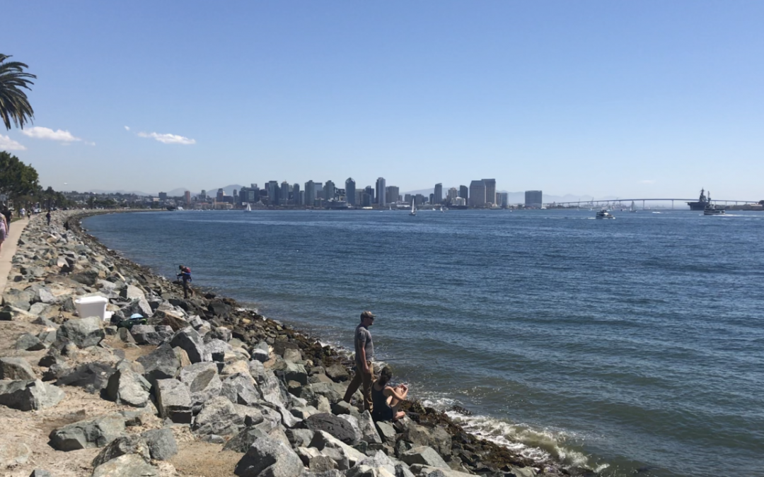ConcreteTtide Pools Tested along Harbor Island in San Diego Bay - GCO ...